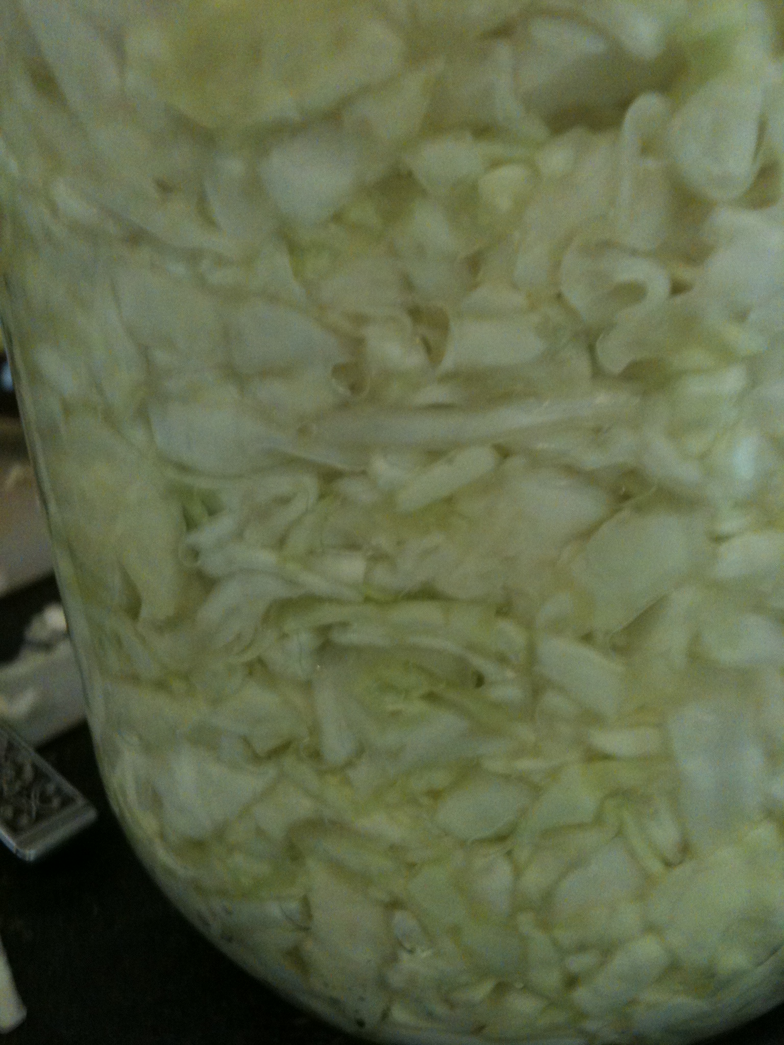 Sauerkraut | Cackle Fruit